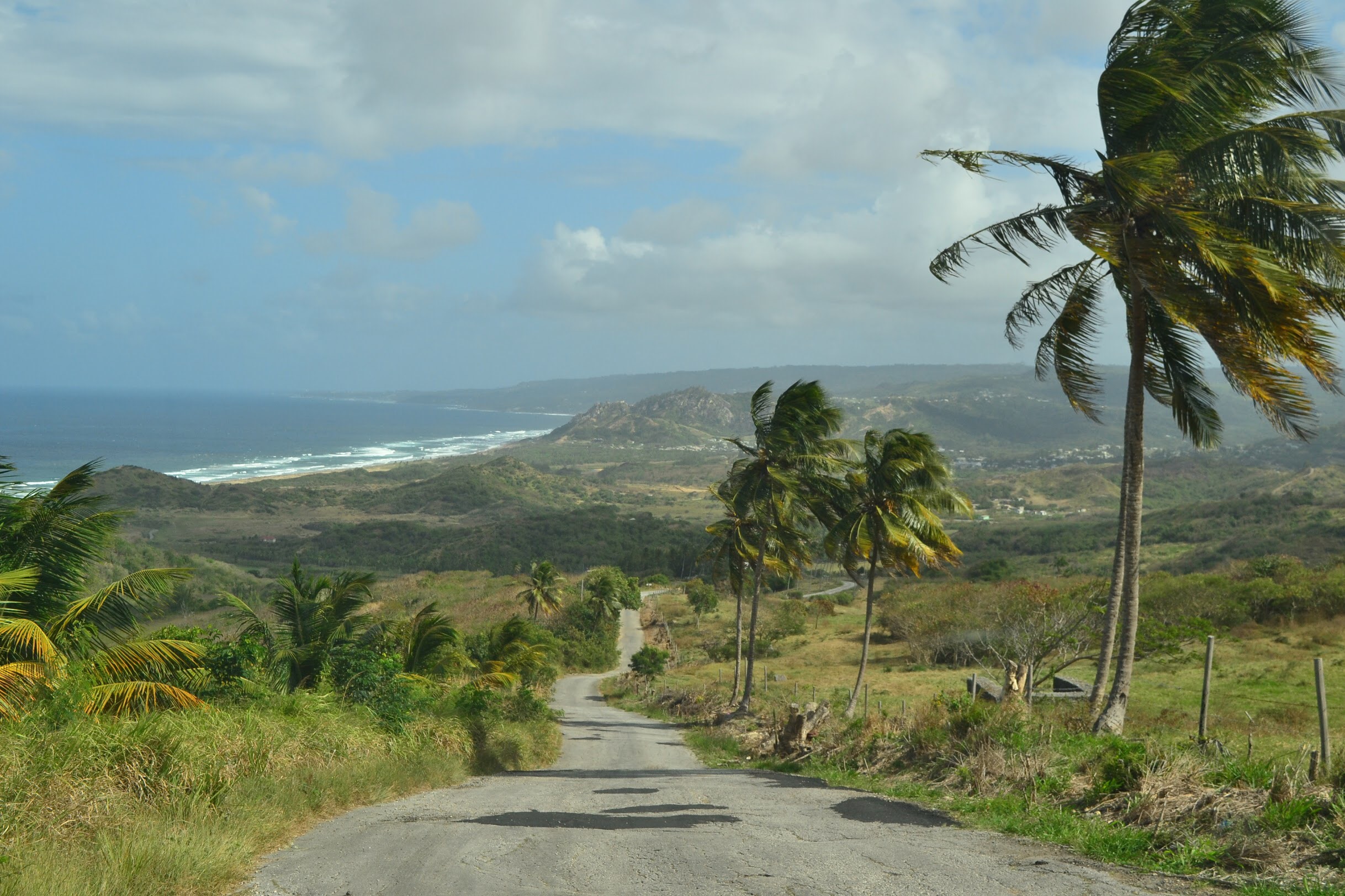 Island Driving Guide: Barbados – The Lonely Explorer – A Blog About ...